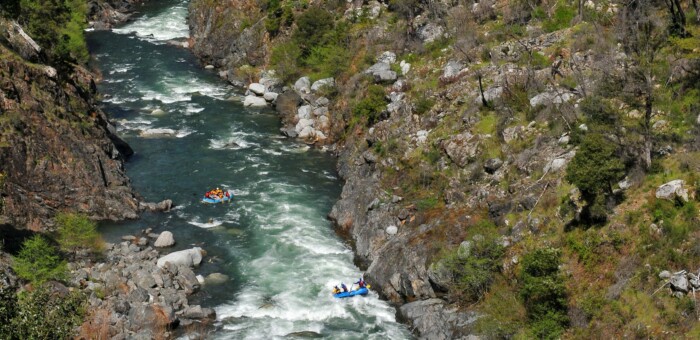 California Salmon Rafting Safari | Momentum River Expeditions