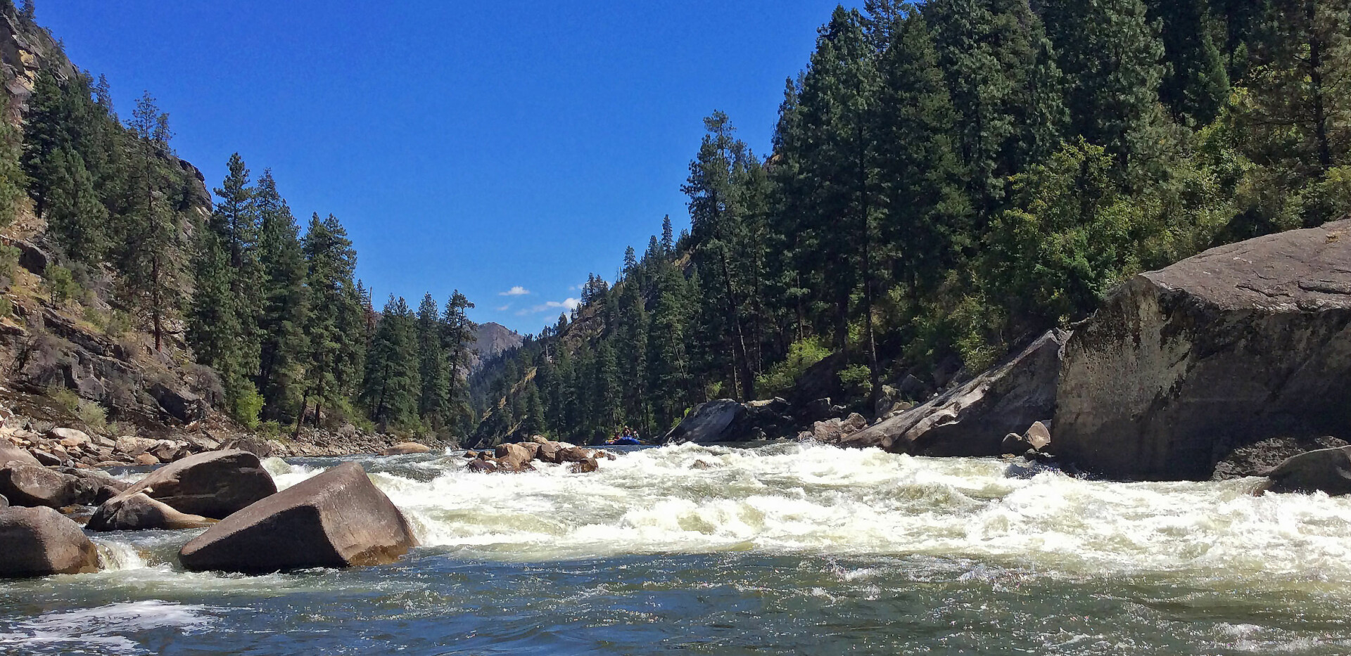 Idaho Salmon - Rafting the River of No Return | Momentum River Expeditions