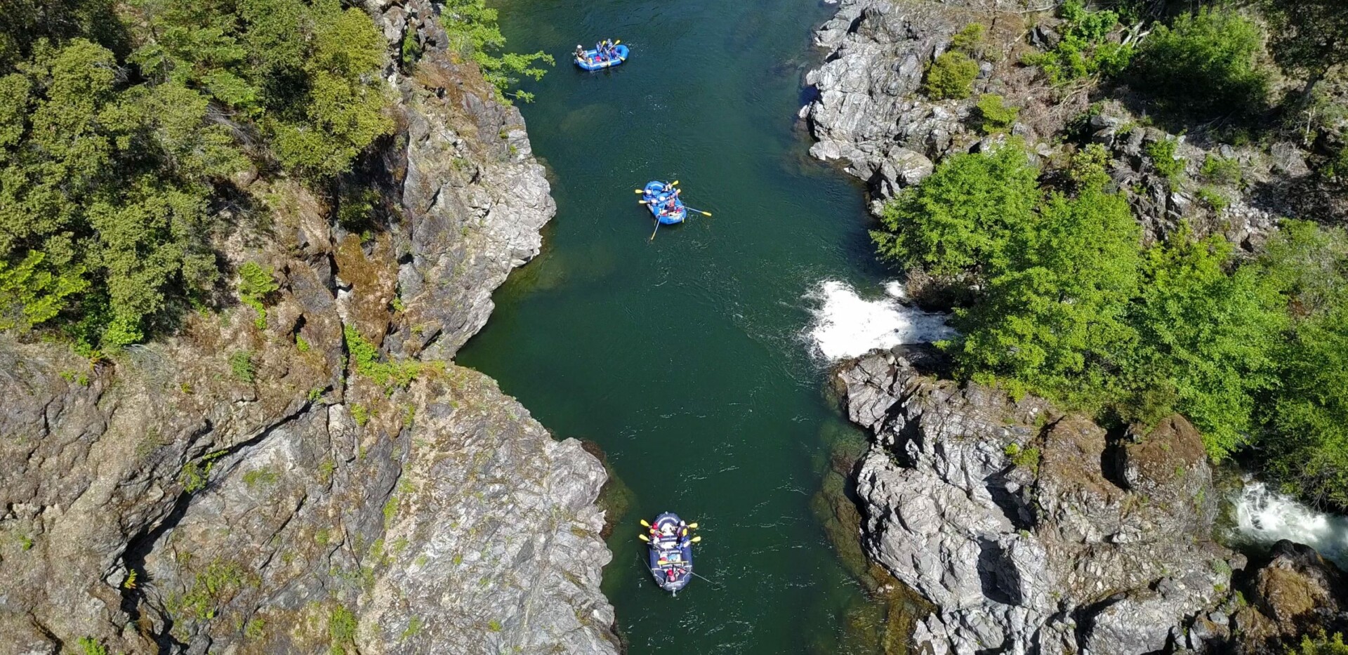 California Salmon Rafting Safari | Momentum River Expeditions