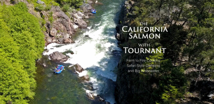 Media: The Cal Salmon with Tournant – Wilderness Gourmet River Safari ...
