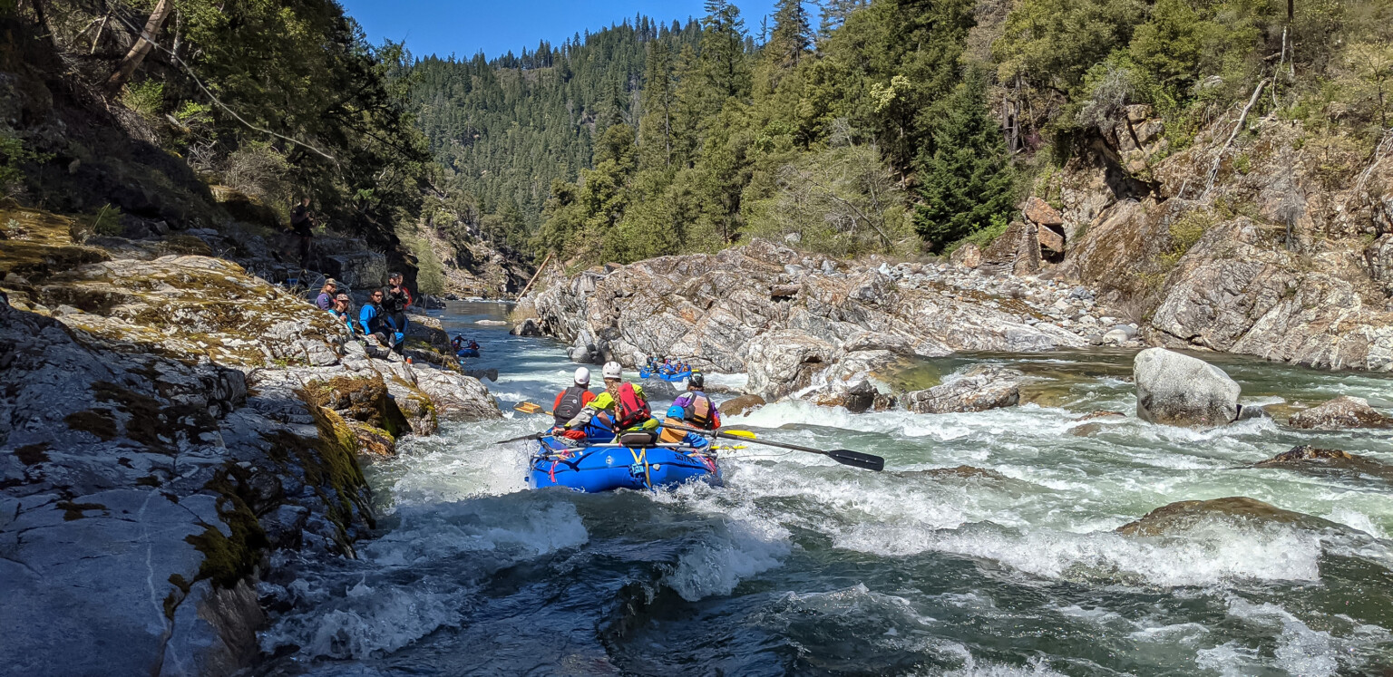 California Salmon Rafting Safari | Momentum River Expeditions