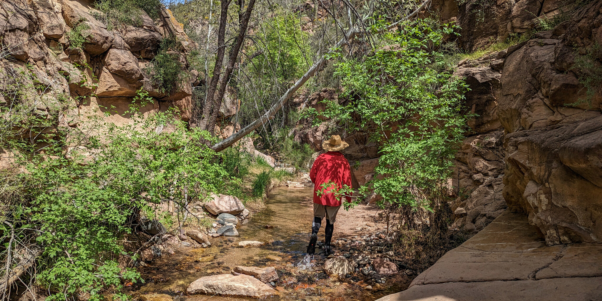 Typical Trip Itinerary Salt River Rafting | Momentum River Expeditions