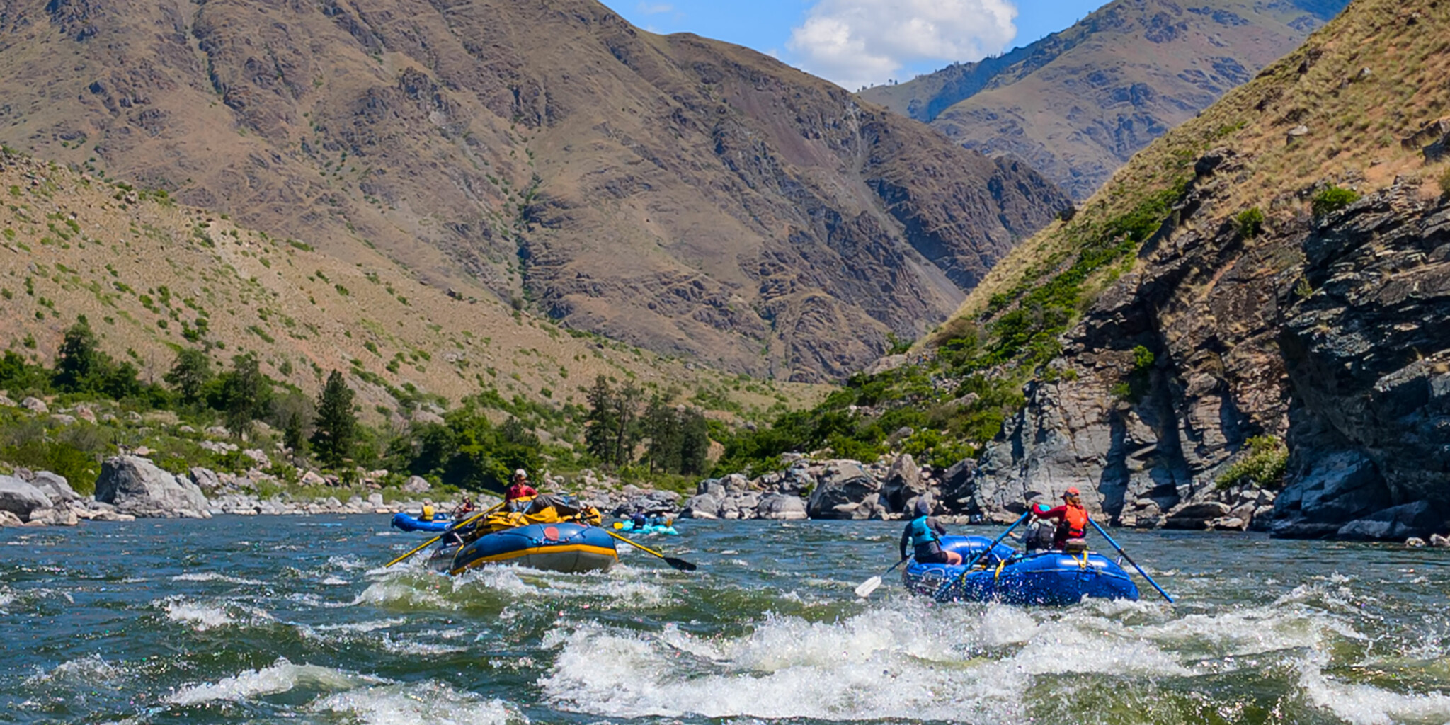 Snake River - Rafting Hells Canyon | Momentum River Expeditions