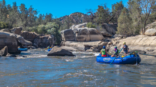 Kern River Rafting Safari | Momentum River Expeditions