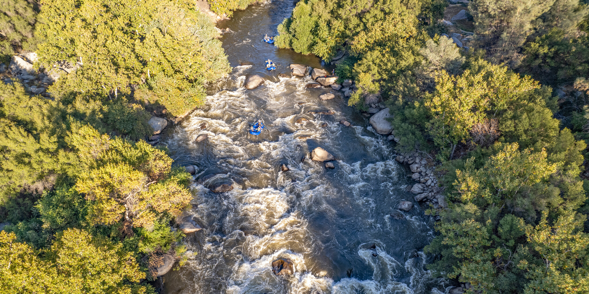 Kern River Rafting Safari | Momentum River Expeditions