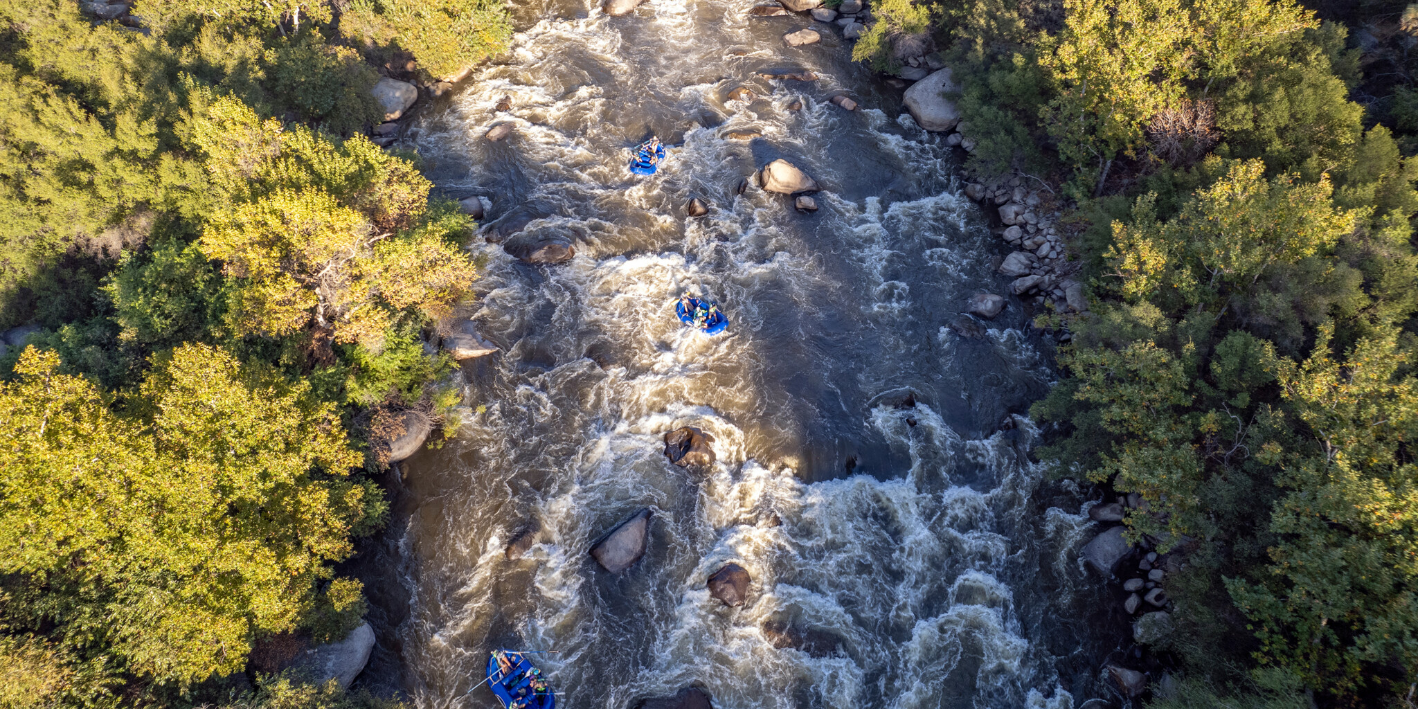 Kern Half Day Trips | Momentum River Expeditions