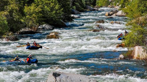 Kern River Rafting | Momentum River Expeditions